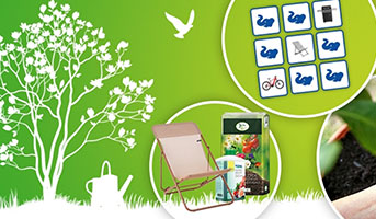 Alle Wettbewerbe Schweiz | gratis mitmachen und gewinnen